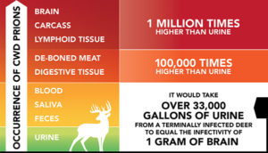 CWD Facts | Protect Your Hunting Heritage | Take Action Now